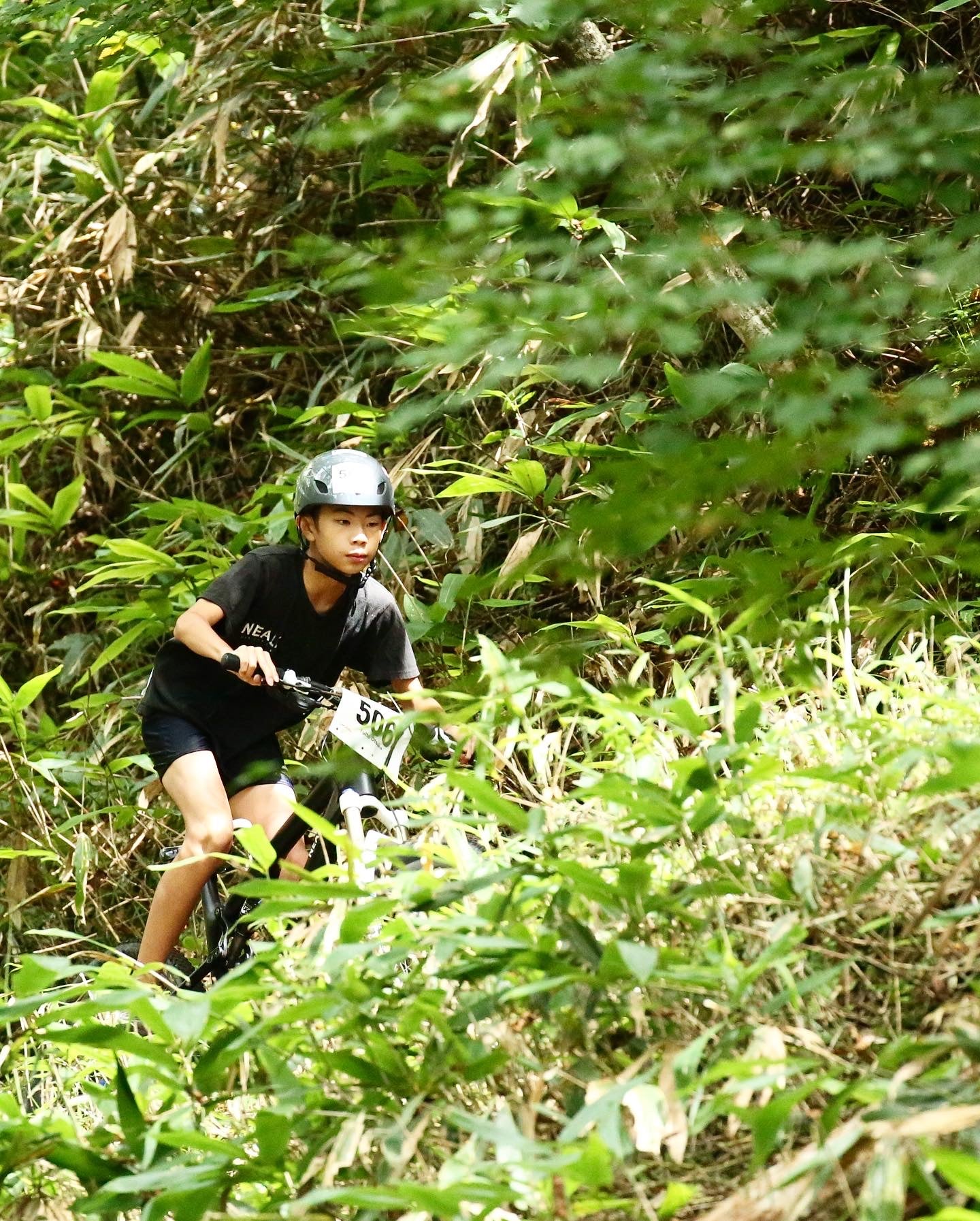 自然を感じる 【 無垢家具 NEALD